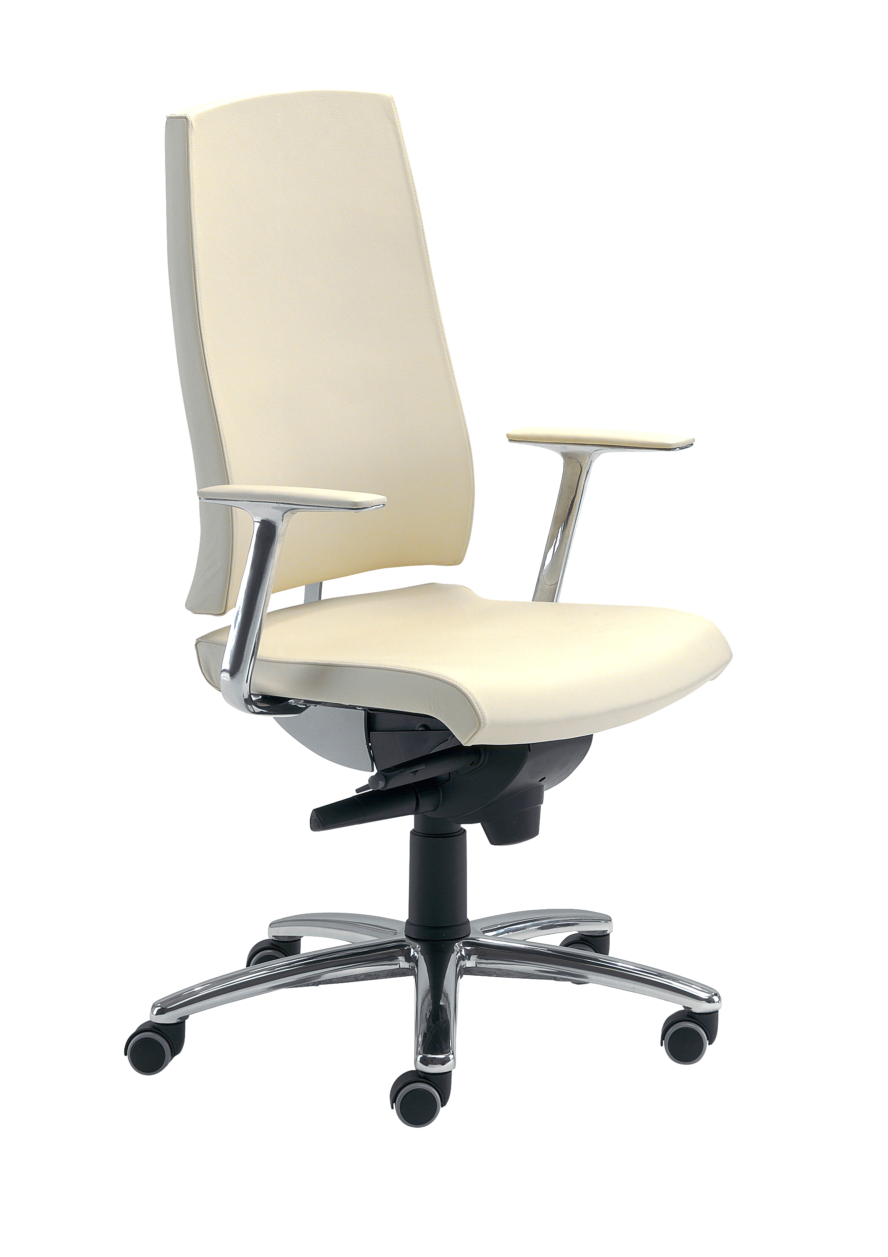 Konvert semi-executive chair - Kastel